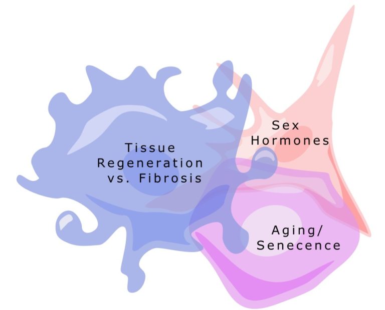 Research – Coon Lab